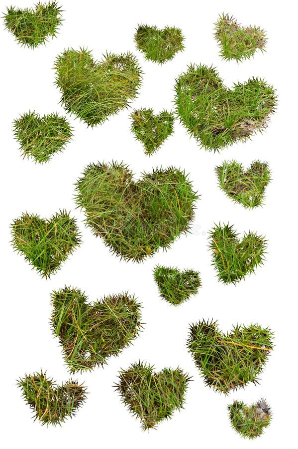 Green grass heart stock photo. Image of environment, environmental ...