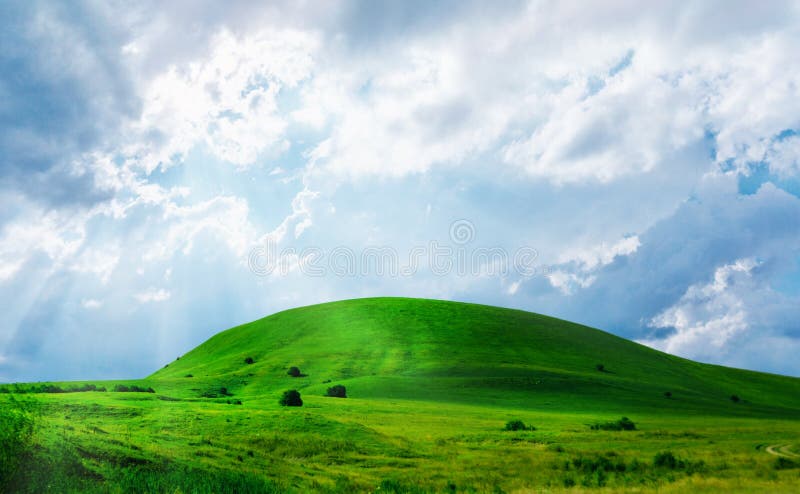 Green grass hill stock photo. Image of land, lawn, field - 26049102