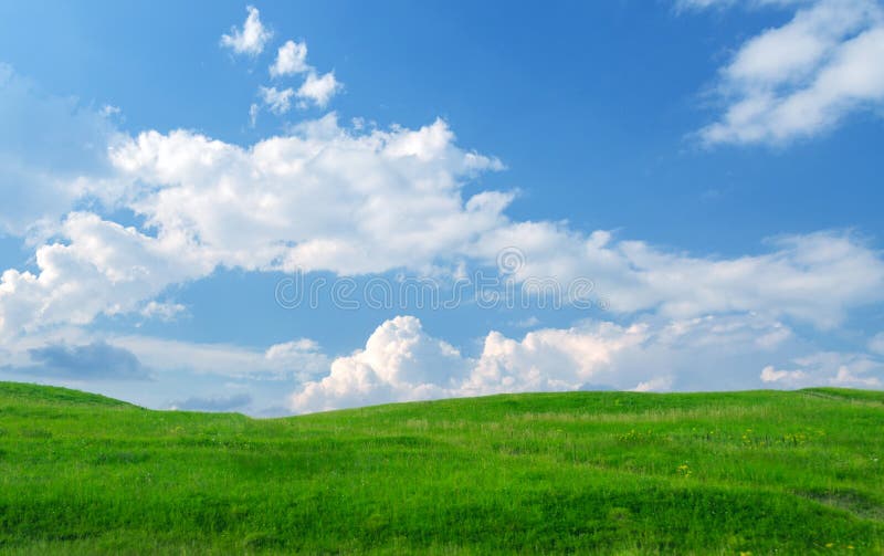 Green grass hill stock image. Image of greenery, blue - 100077193