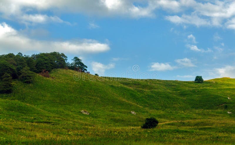 Green grass hill and trees stock photo. Image of empty - 100077090