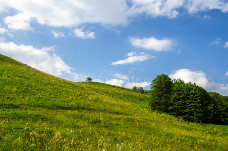 Green grass hill and trees stock image. Image of colorful - 100076893