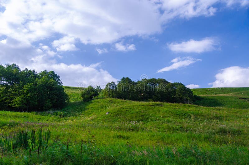 Green grass hill and trees stock image. Image of concept - 100077151