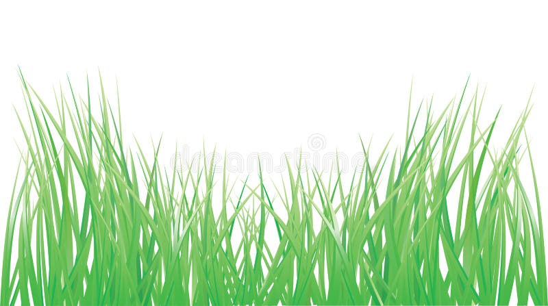 Green Grass in Horizontal. Outline EPS Stock Illustration ...