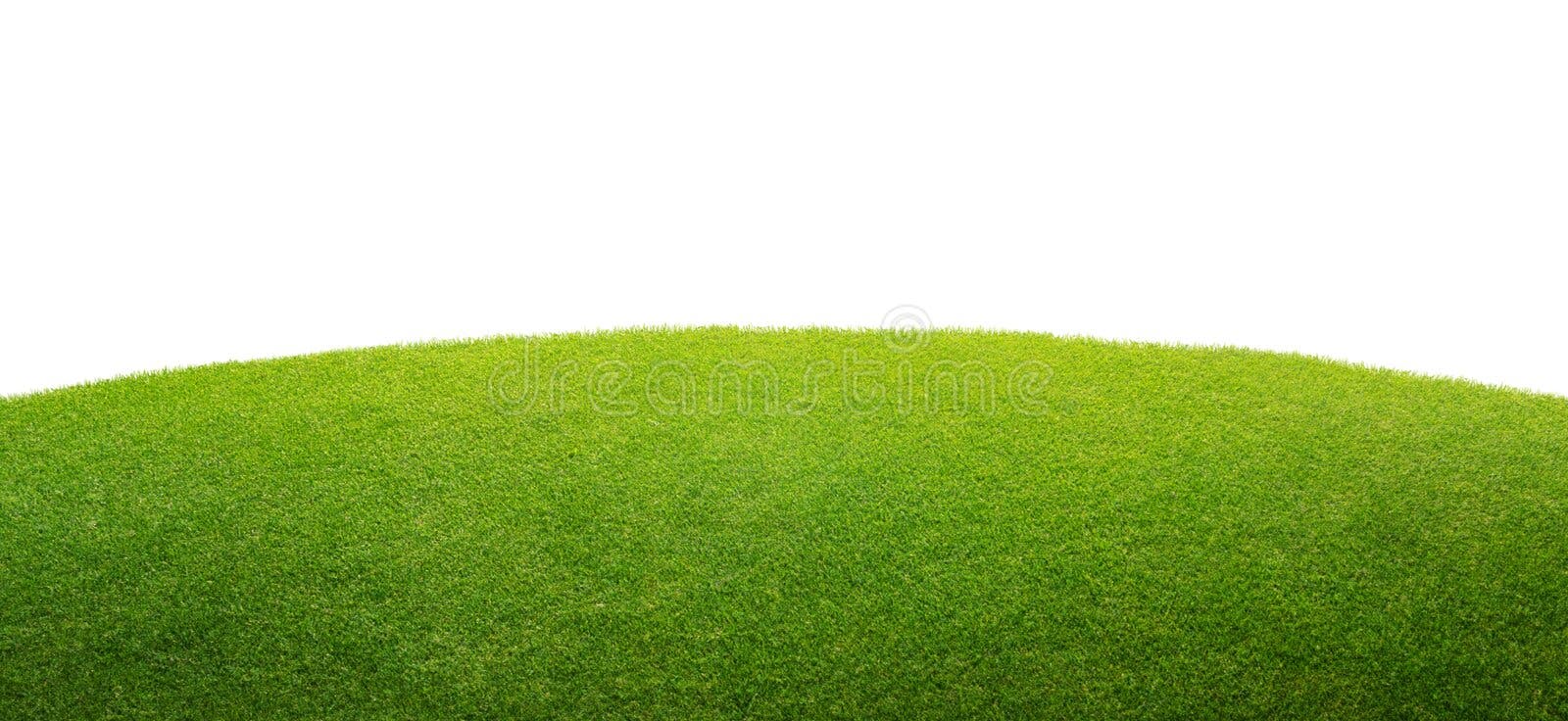 Grass isolated stock photo. Image of season, outdoor - 38820120