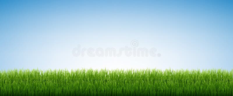 Grass. Vector Picture. Image: 14449411
