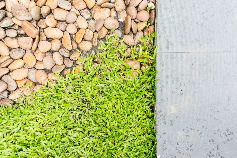 Green Grass Isolated and Rock Stock Photo - Image of country, autumn ...
