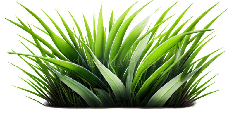 Pgn Background Stock Illustrations – 41 Pgn Background Stock ...