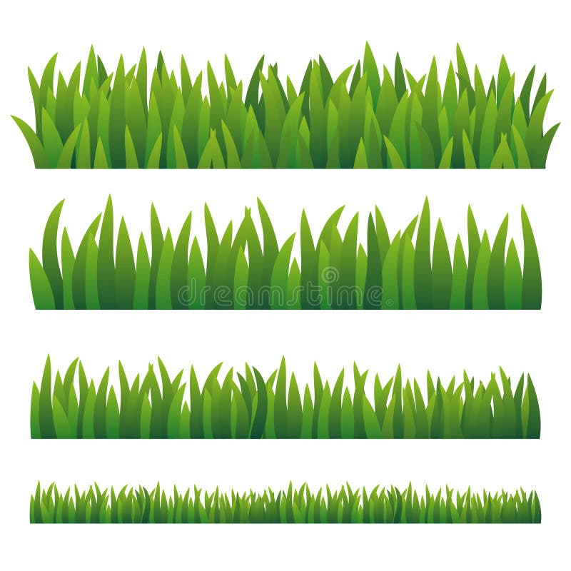 Green Grass, Isolated on White Background Stock Illustration ...