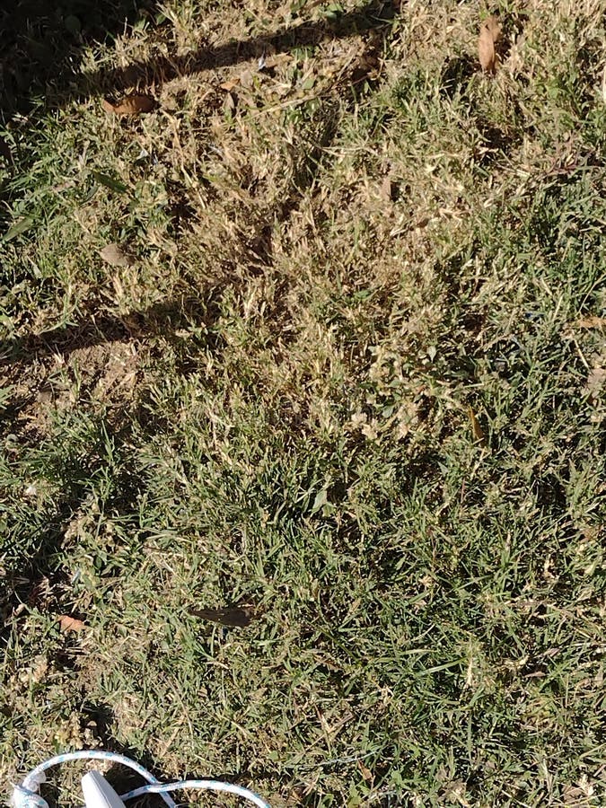 Thankagivingday Stock Photos - Free & Royalty-Free Stock Photos from ...