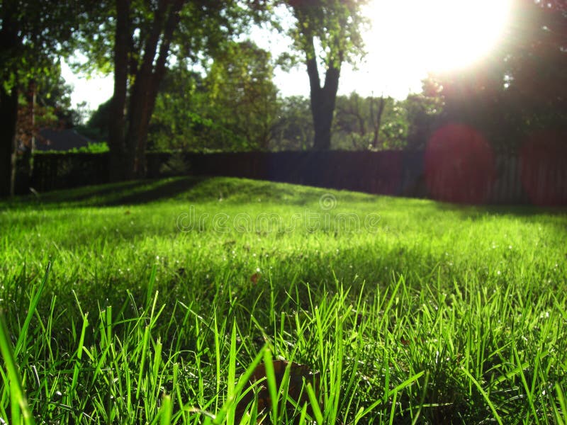 Green Grass Landscape stock image. Image of landscape - 4067103