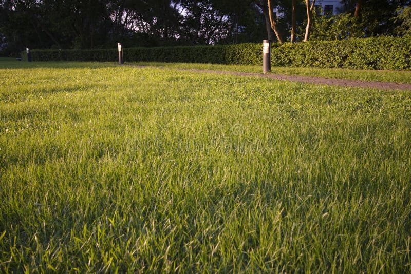 Green Grass Landscape, Path through the Park Stock Photo - Image of ...