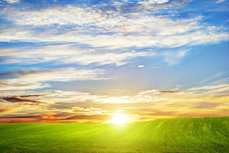 Green Grass Landscape at Sunset. Romantic Clouds Stock Image - Image of ...