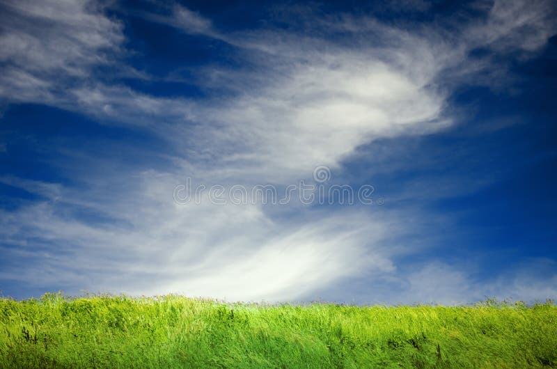 Green Grass Lawn and Blue Sky with Light Clouds Stock Photo - Image of ...