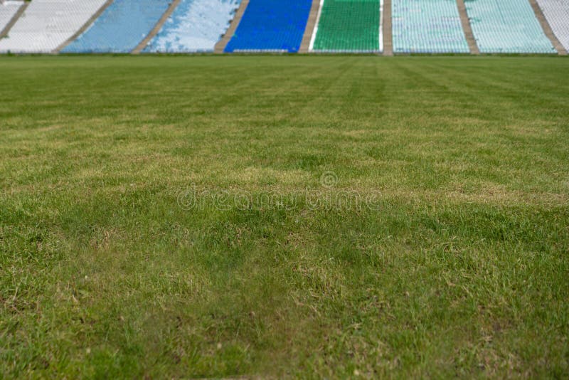 Green Grass Lawn Field on the Open Air Stadium Copy Space Mockup for ...