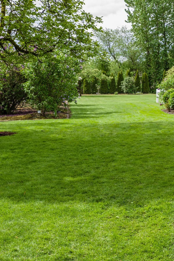 Green Grass Lawn and Garden Stock Photo - Image of outside, plants ...