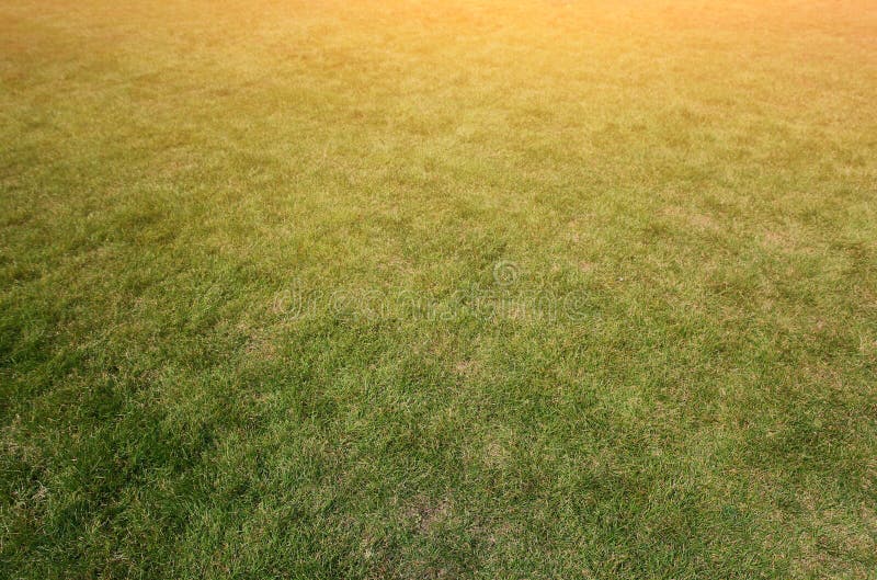Green Grass Lawn Outdoors. Bright Colours of Summer Stock Photo - Image ...