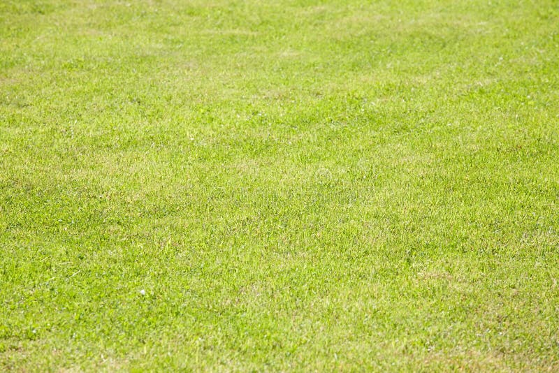 Green Grass Lawn Pattern Texture Stock Image - Image of grassland ...