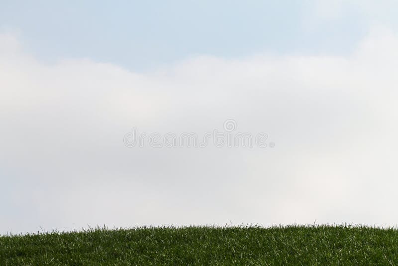 The Green Grass Lawn. Smooth Surface Stock Image - Image of green ...