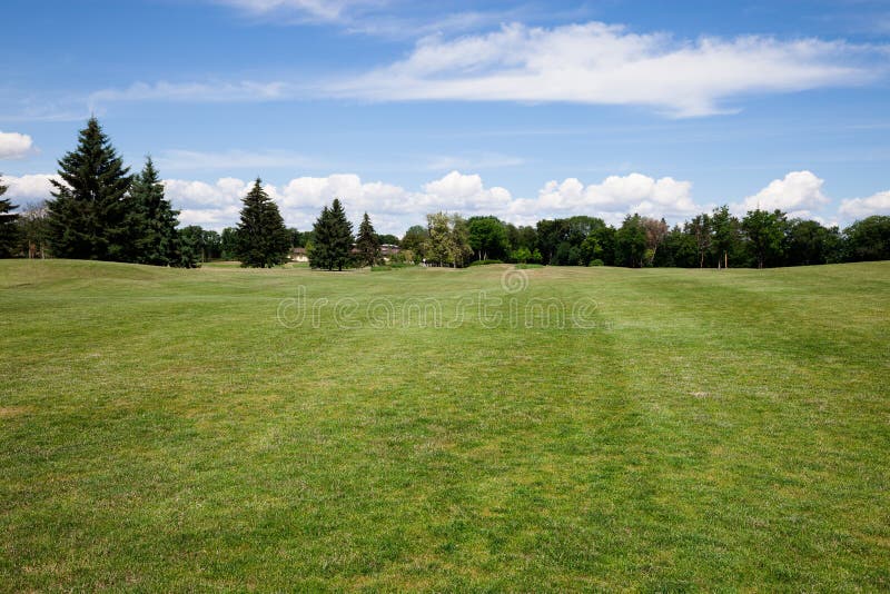 Green grass lawn stock photo. Image of countryside, woodland - 57090912