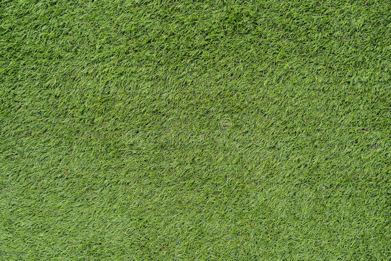 Green Grass Lawn Texture Seen from Above Stock Photo - Image of clean ...