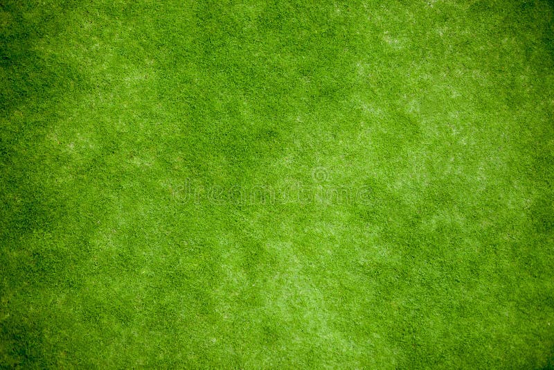 Grassy Field Top View