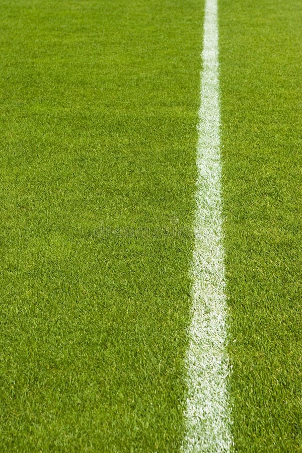 Green Grass Texture stock photo. Image of nature, growth - 4917422