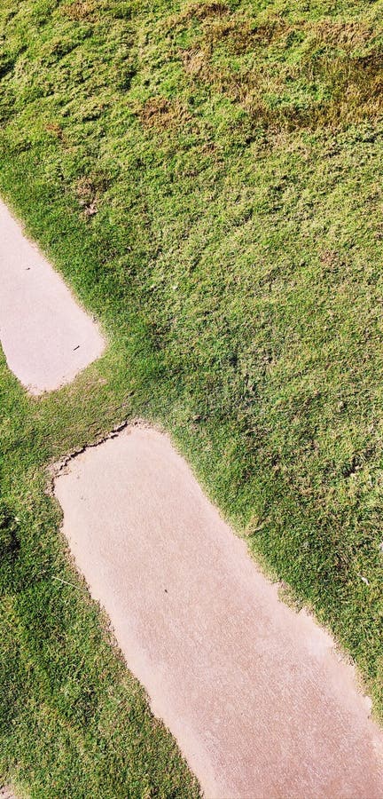 Green grass line walks stock photo. Image of flooring - 241030672