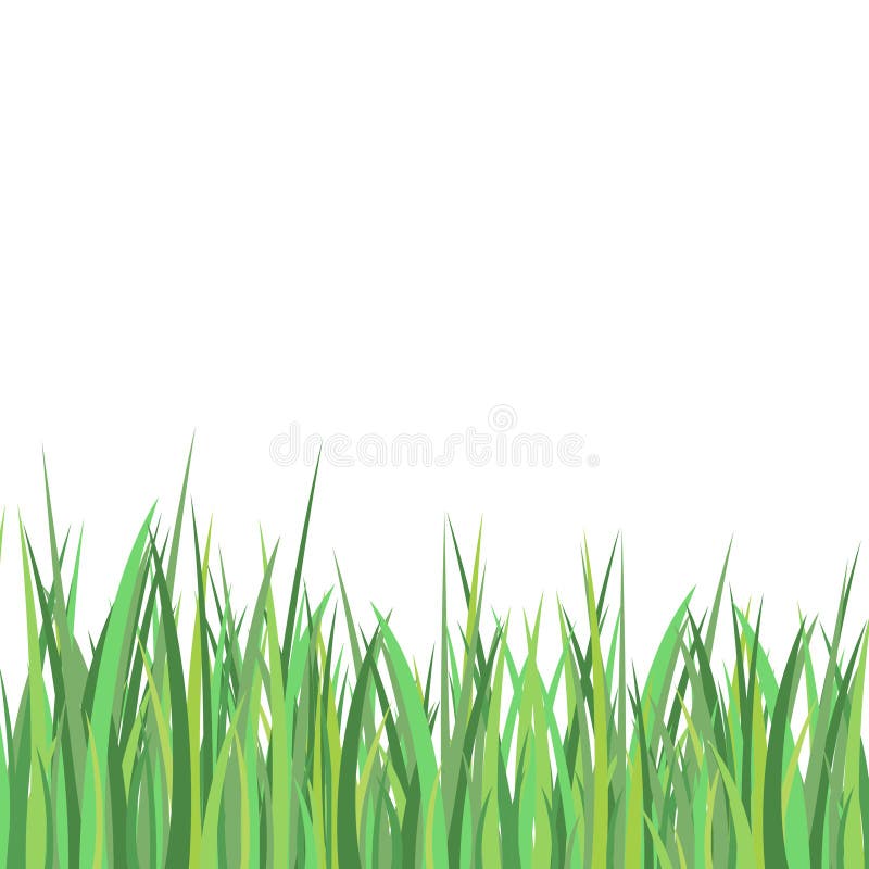 Green Grass Meadow Border Illustration Pattern Spring or Lawn Lawn ...