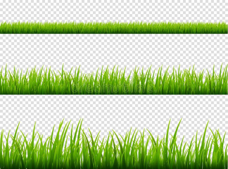 Lawn Grass Border Stock Illustrations – 16,246 Lawn Grass Border Stock ...