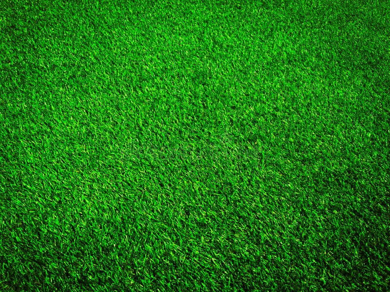 Green Grass in the Natural Background for Design Stock Photo - Image of ...