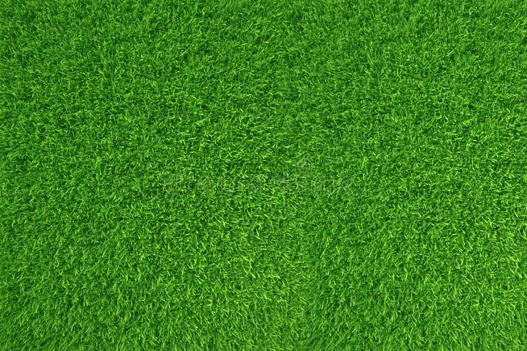 High Green Grass Stock Illustrations – 55,952 High Green Grass Stock ...