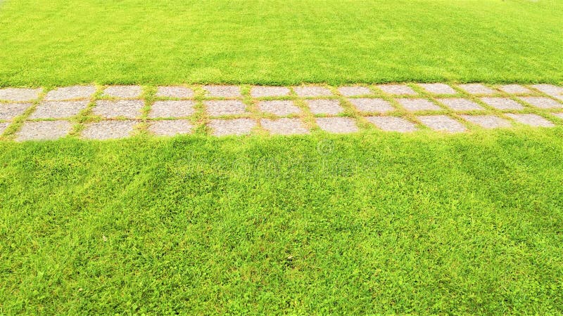 Texture Of Paving Picture. Image: 2225278