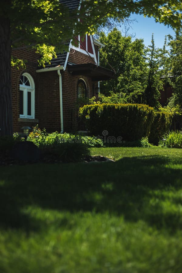 Green Grass Outside the Lawn of the House Stock Photo - Image of flower ...