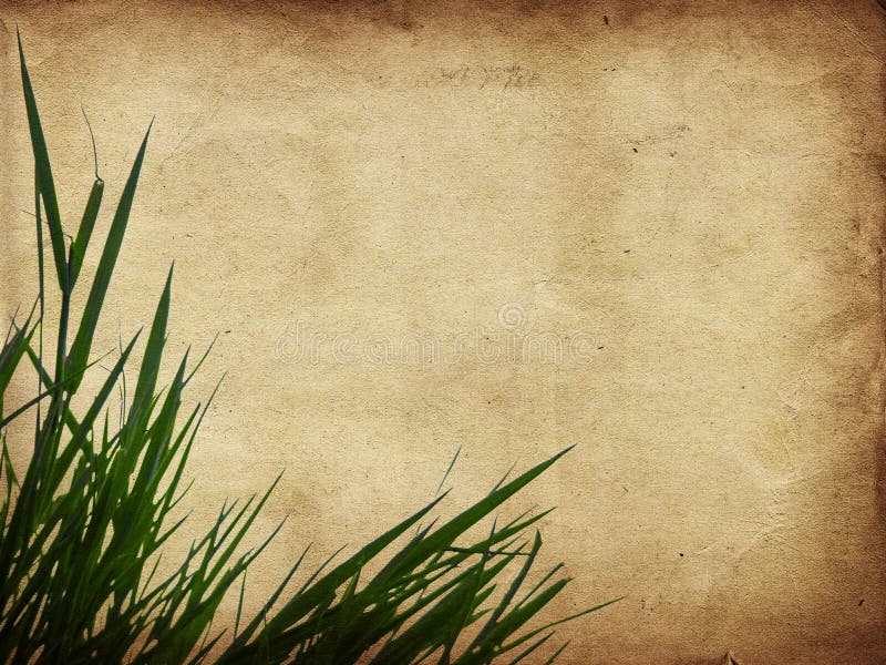 Green grass on paper stock photo. Image of grow, nature - 23766706