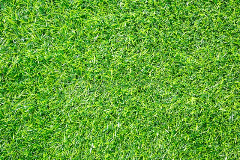 Green grass stock image. Image of game, clean, grassland - 72035265