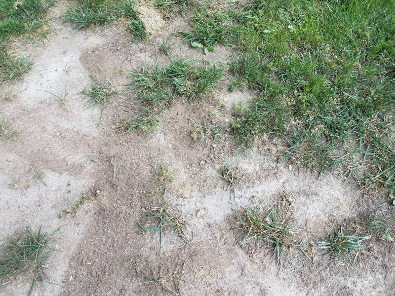 Dirt Patch Surrounded By Grass Stock Image - Image of lawn, yard: 14506069