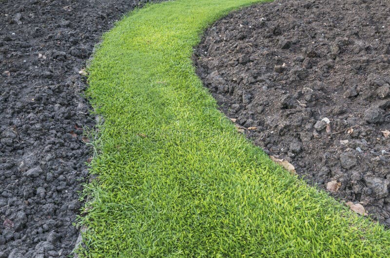 8K Grass Path Roughness Texture, Height Map or Specular for ...