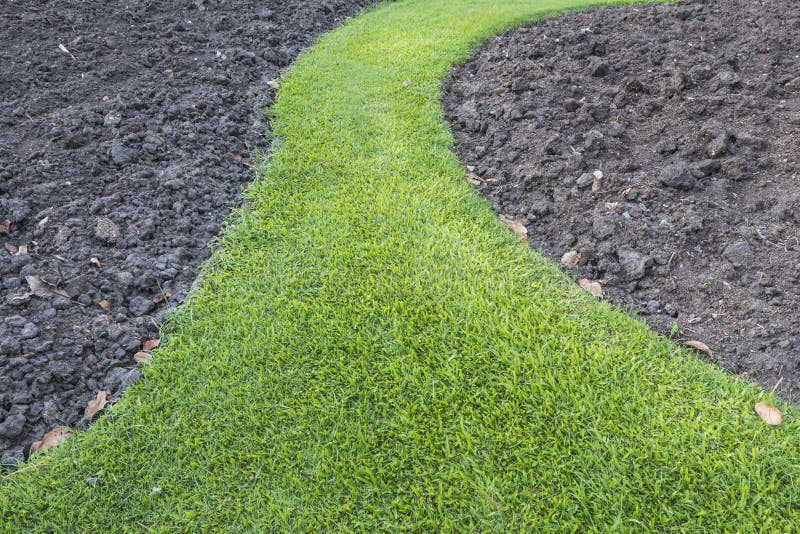 8K Grass Path Roughness Texture, Height Map or Specular for ...