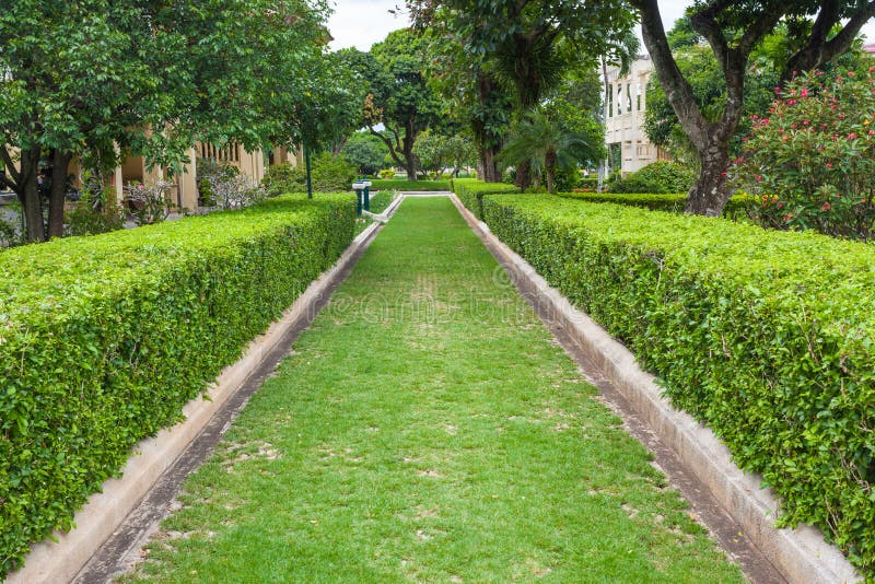 Green grass Pathway stock photo. Image of grass, blue - 33361530