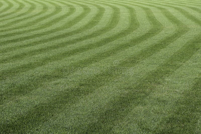 Mowed grass pattern stock image. Image of land, cutting - 2652217