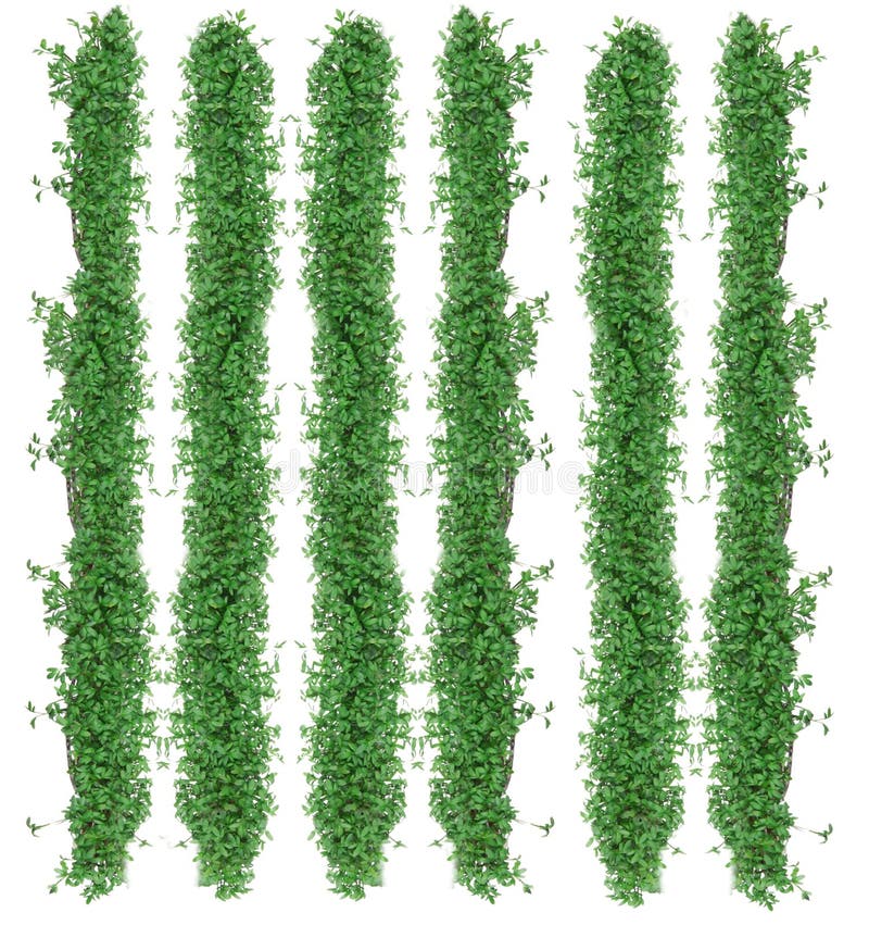 Green grass pillars stock illustration. Illustration of close - 23757180