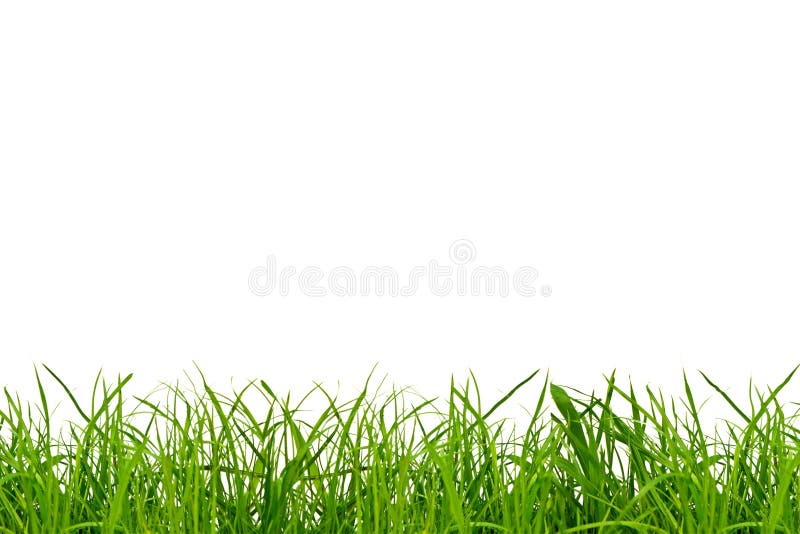 Grass Field Png