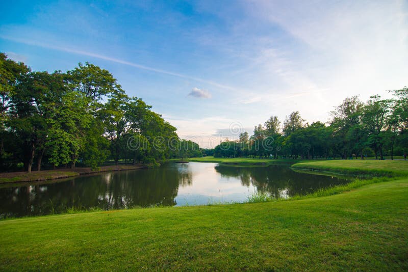 Green Grass in Public Park with Pond Background. Stock Image - Image of ...