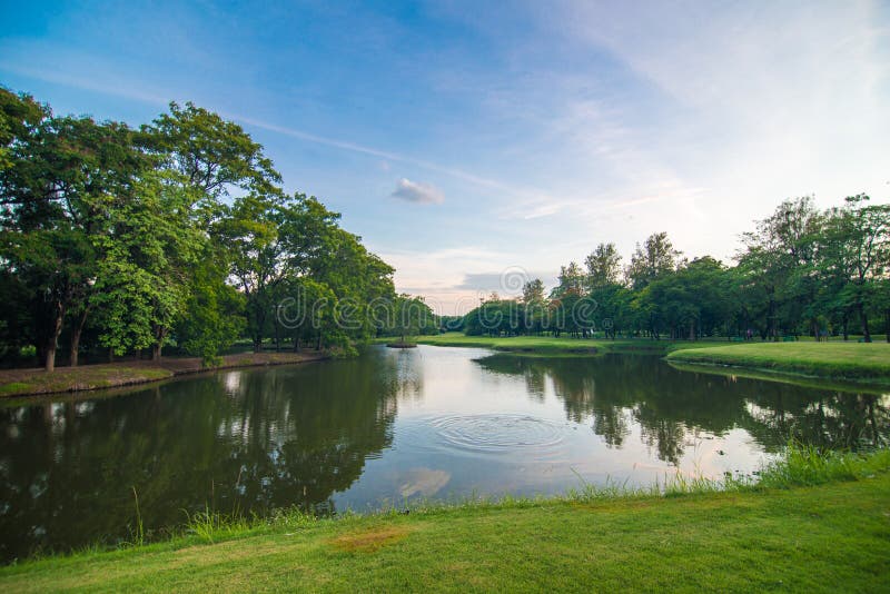 Green Grass in Public Park with Pond Background. Stock Image - Image of ...