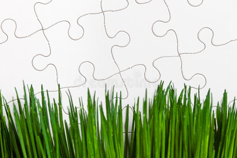 Environmental Puzzle Stock Images - Download 294 Royalty Free Photos