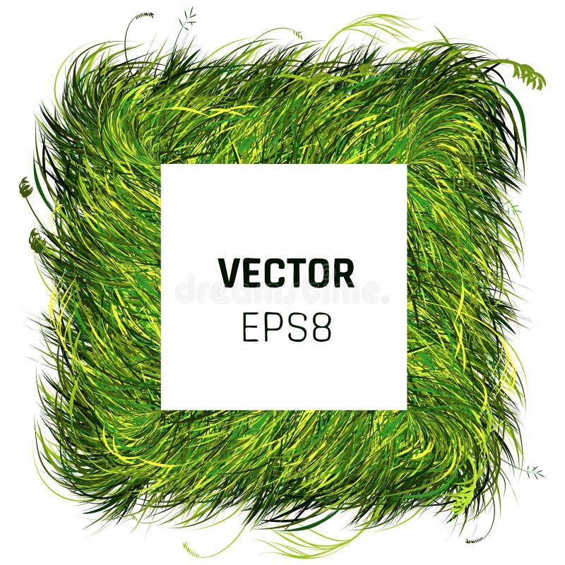 Green Grass Rectangle Background Stock Vector - Illustration of grass ...