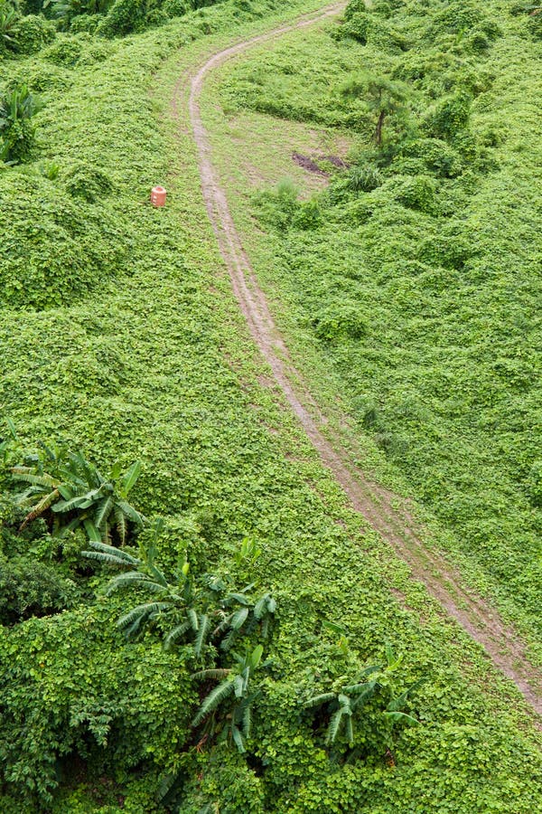 Green grass Road stock image. Image of country, mountain - 20459225