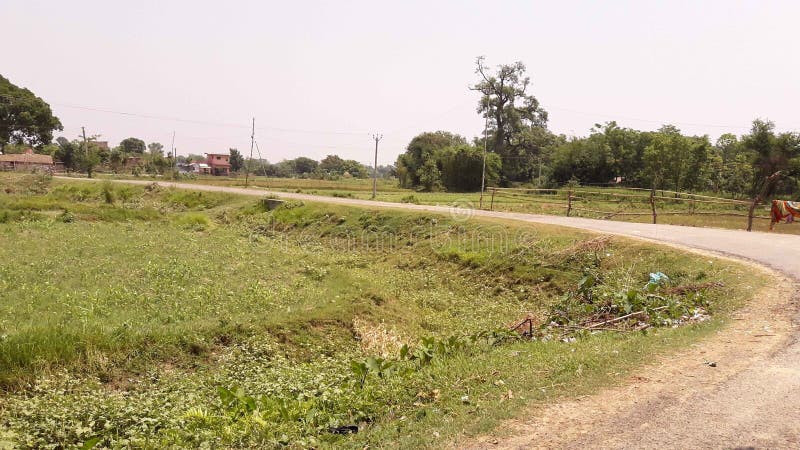 Green Grass and Road View in Village Stock Image - Image of view, road ...