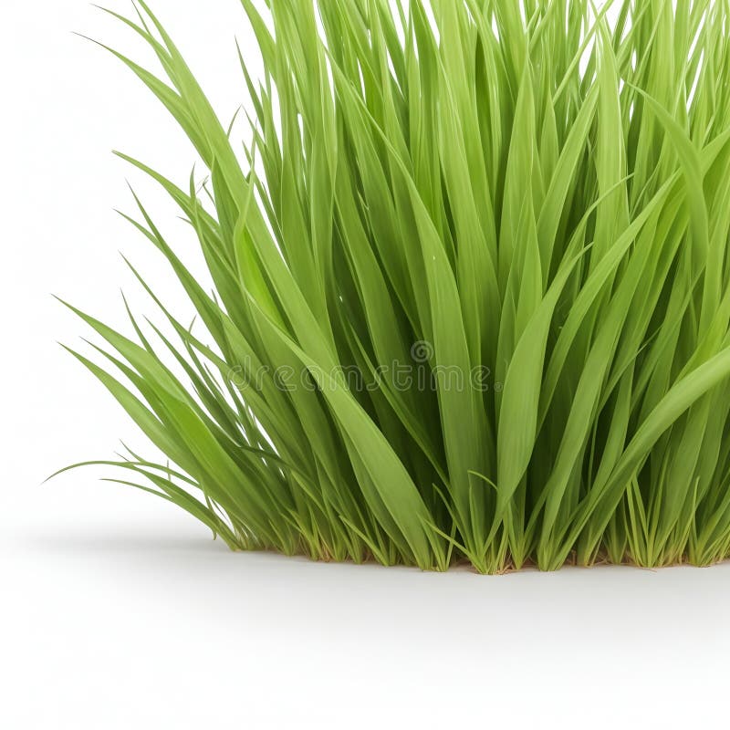 Green Grass, Rocks, and a Tree Harmony of Nature Elements, Generative ...