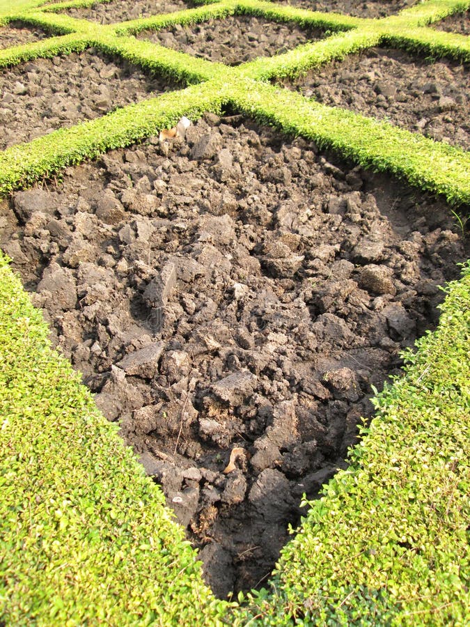Green Grass S Curve on Soil Stock Photo - Image of black, texture: 65583646